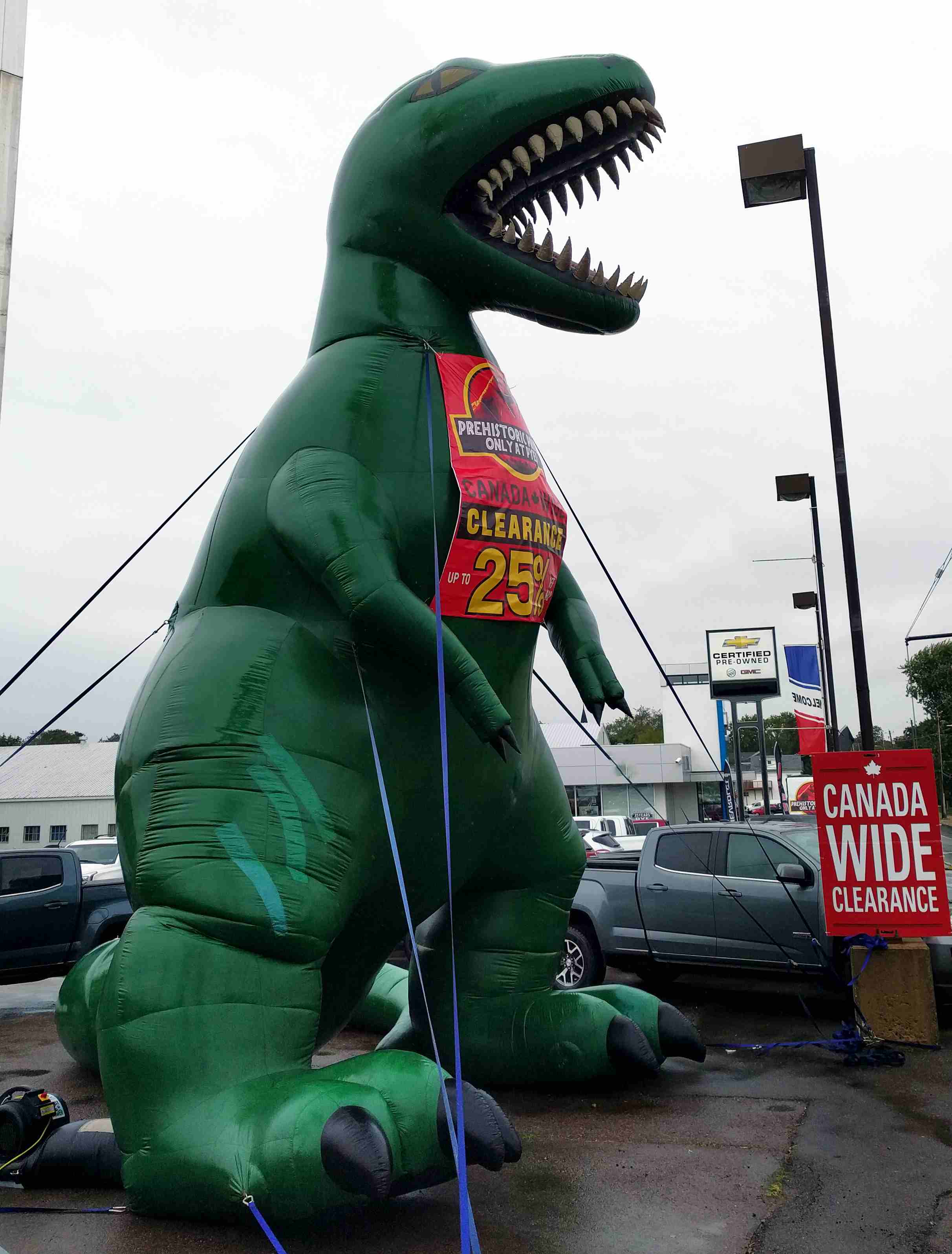 T-Rex - Green - Giant Promotions Online Store